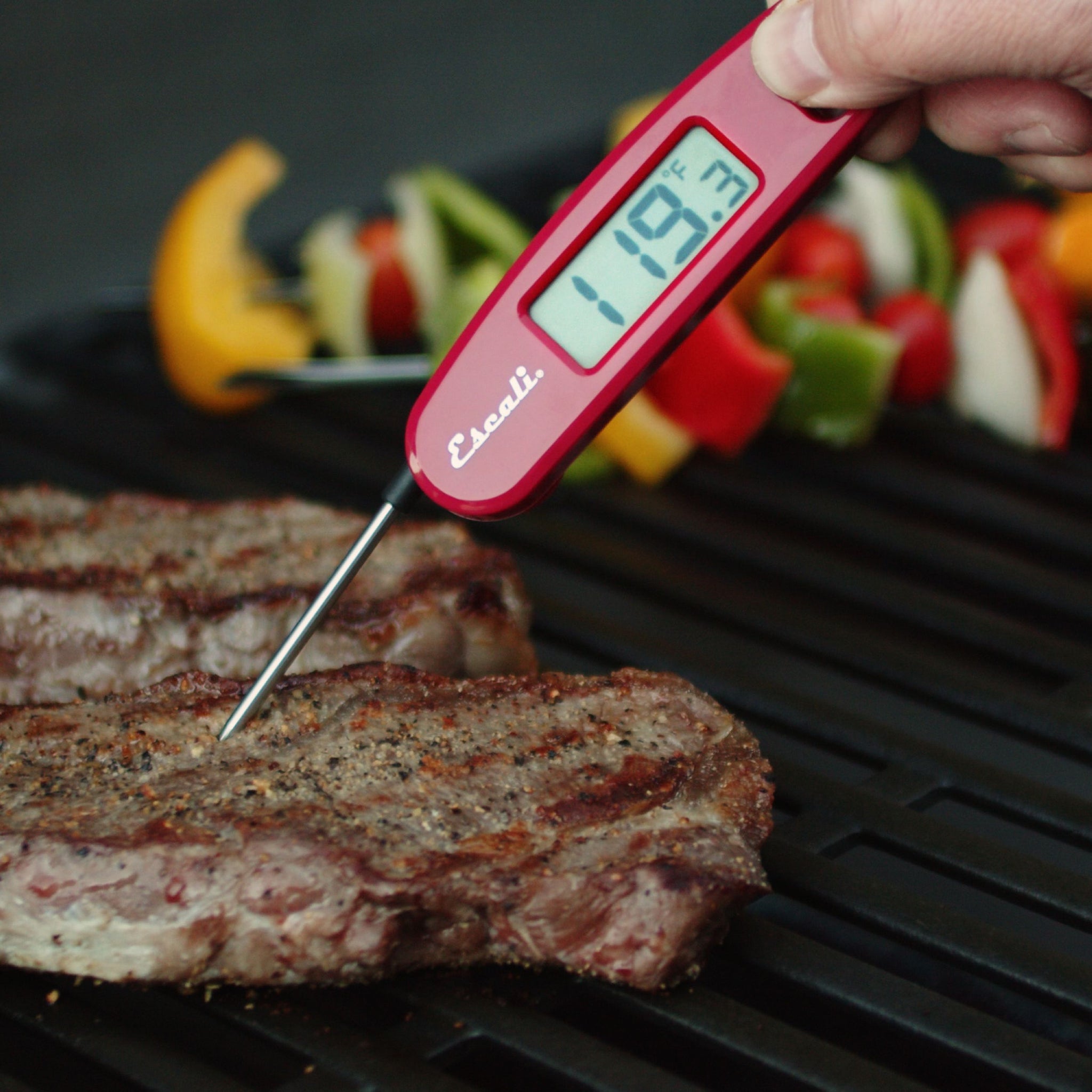 Digital Compact Folding Thermometer, CDU 18 Pack – KitchenSupply